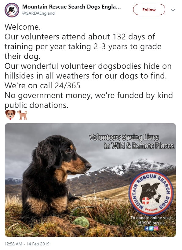 Man Buried In Snow Films Mountain Rescue Dog Saving Him During Training ...