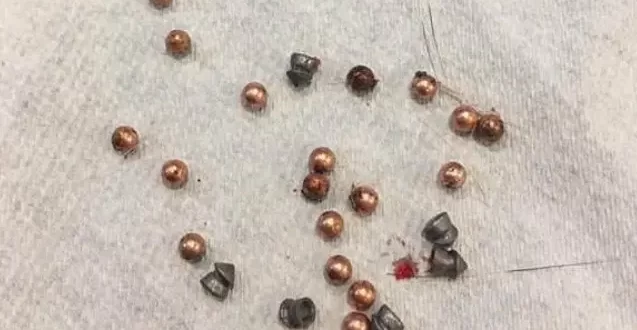 Woman finally figures out what is attached to her dog. - Story Url