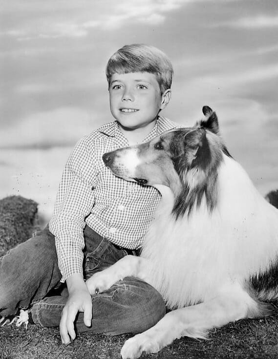 Jon Provost AKA Little Timmy from ‘Lassie’ celebrates his 72nd birthday ...